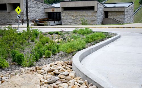 How Green Infrastructure Promotes Stormwater Infiltration