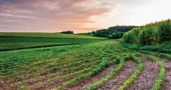 Agriculture Conservation Assistance Program
