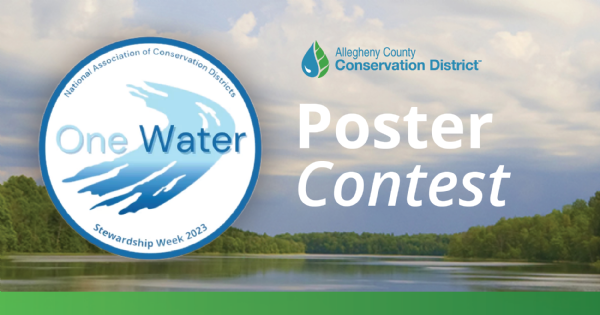 One Water Poster Contest