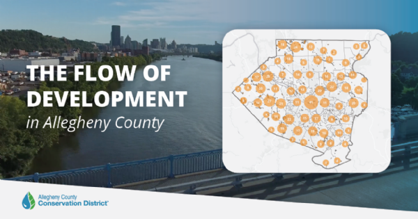 ACCD Unveils Data Insights