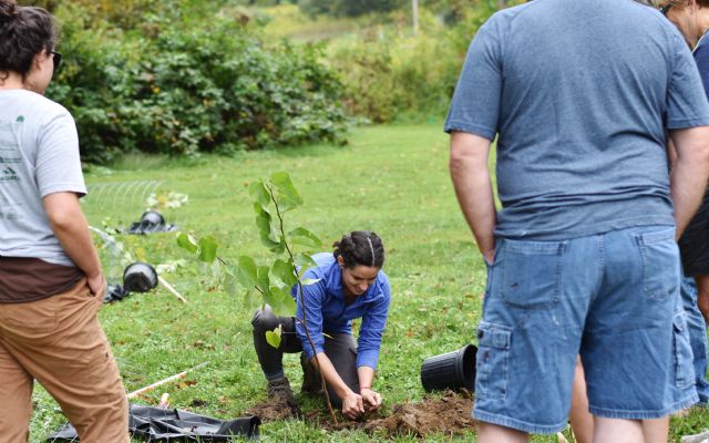 ACCD | Riparian Forest Buffers