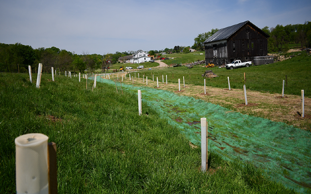 ACCD | Riparian Forest Buffers