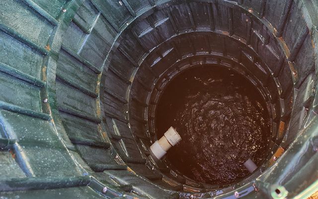 ACCD | Spring Development