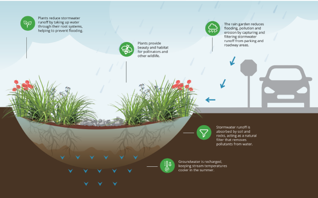 ACCD | Findlay Township Rain Garden