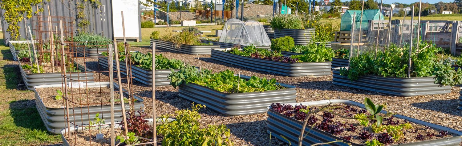 ACCD | Agriculture and Soils