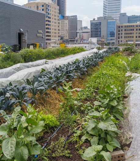 Agricultural Conservation